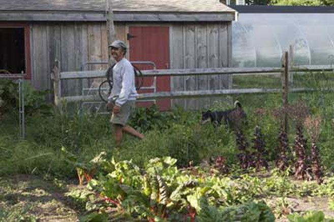 Not Enough Acres Farm