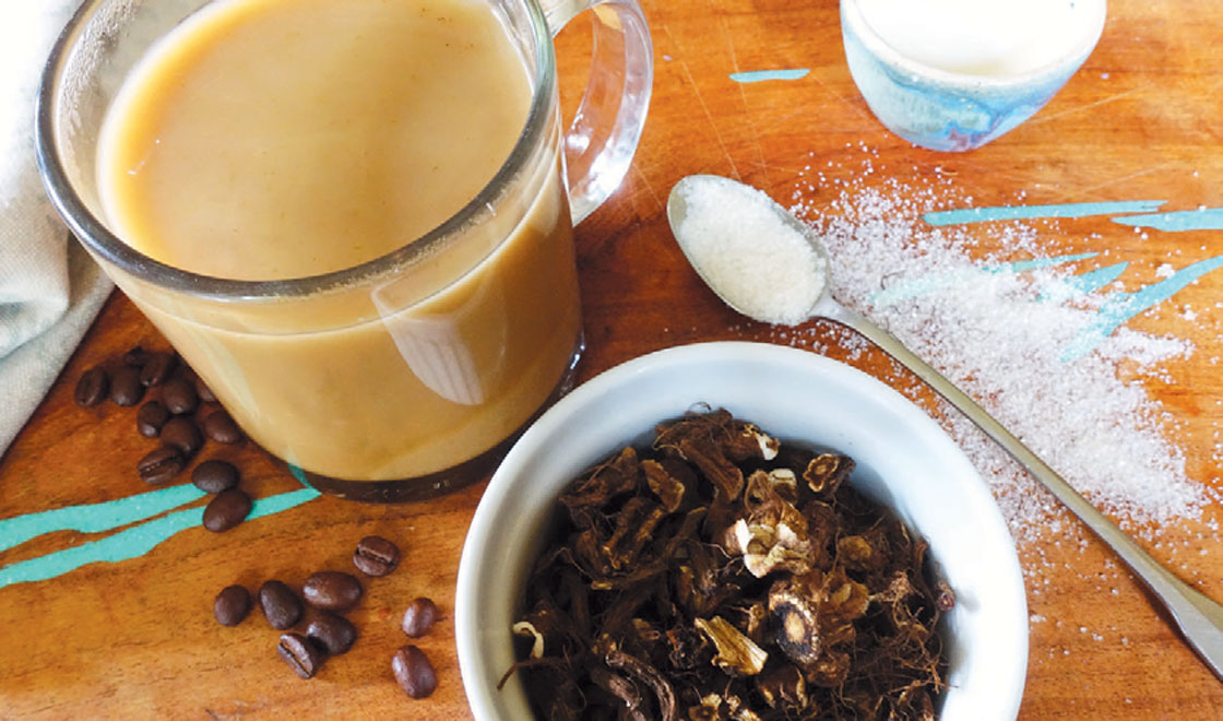 Roasted Dandelion Root for Coffee