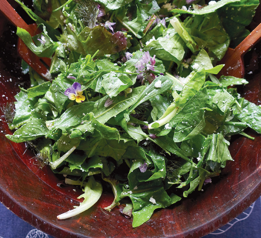 Mixed Greens Salad with Sheep Sorrel & Goat Cheese